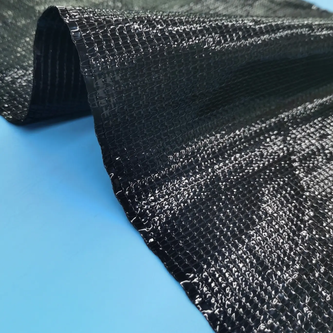 Blackout Screen: Ultimate Light Control for Plant Growth