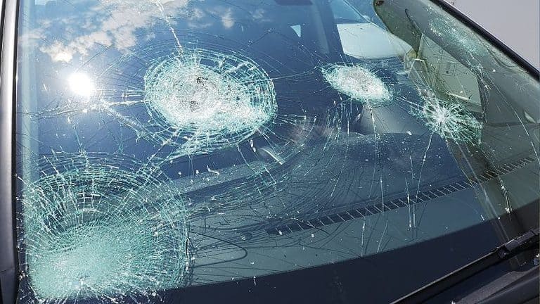 3 Types of Hail Netting - All You Need to Know | EYOUAGRO