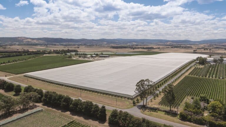 3 Types of Hail Netting - All You Need to Know | EYOUAGRO