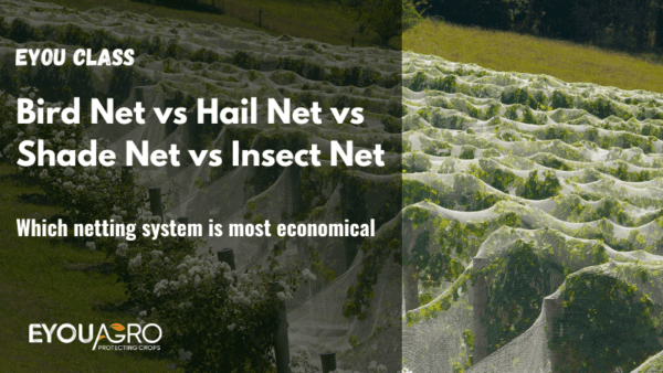 Bird vs Hail vs Shade vs Insect Netting: Vineyard Matrix