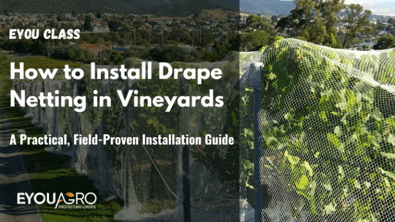 How to Install Overhead Netting Systems in Vineyards
