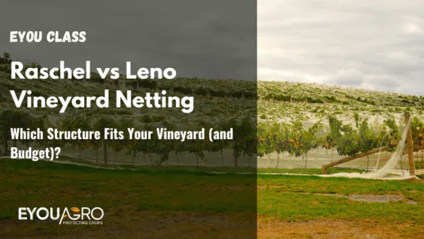 Bird vs Hail vs Shade vs Insect Netting: Vineyard Matrix