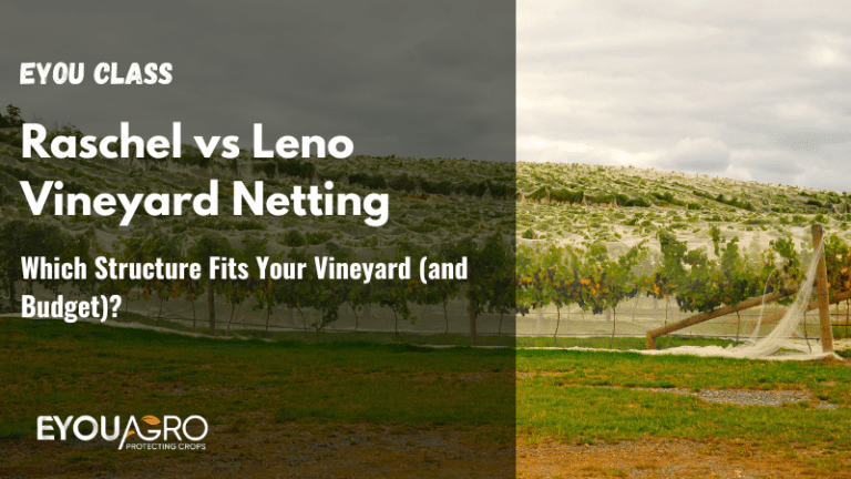 Bird vs Hail vs Shade vs Insect Netting: Vineyard Matrix