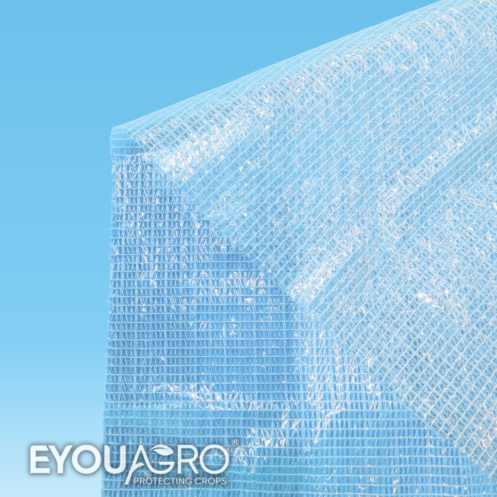 Transparent Energy Saving Screen | EYOUAGRO