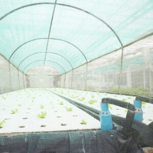 Insect Proof Netting | Block Insect & Pests | EYOUAGRO