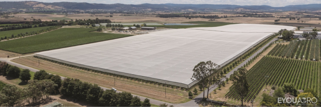 Quad Crossover Netting: Ultimate Crop Protection Solution