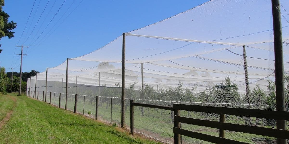9 Tips How to Choose Blueberry Netting Suppliers | EyouAgro