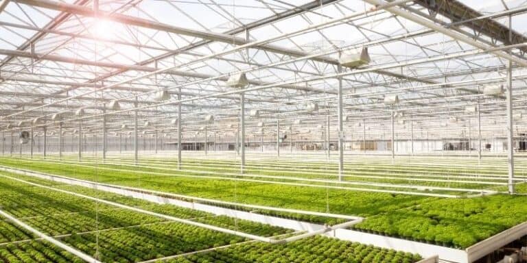 5 Tips of Aluminet Shade Cloth You Need to Know - EYOUAGRO