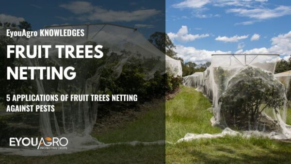 5 Applications of Fruit Trees Netting | EYOUAGRO