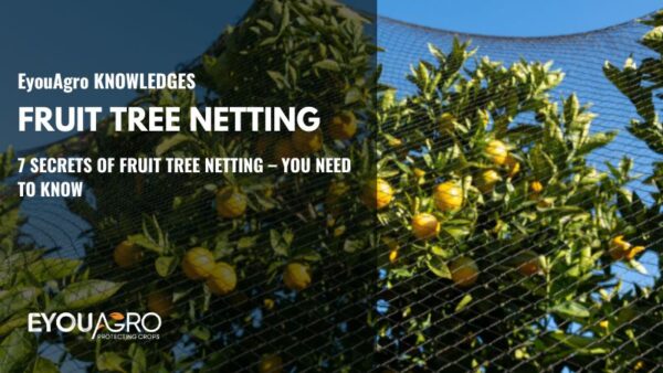 7 Secrets of Fruit Tree Netting –You Need to Know | EYOUAGRO