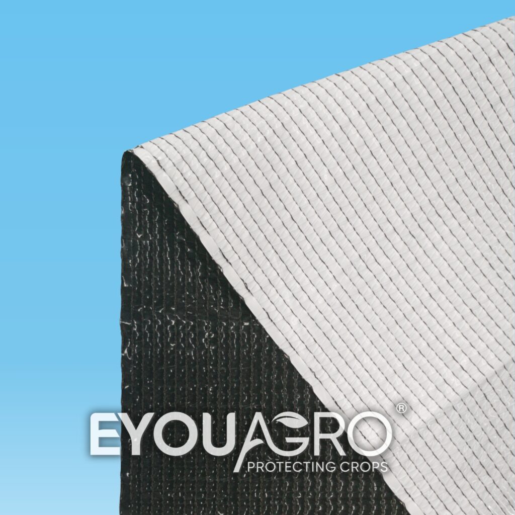 Blackout Screen: Ultimate Light Control for Plant Growth