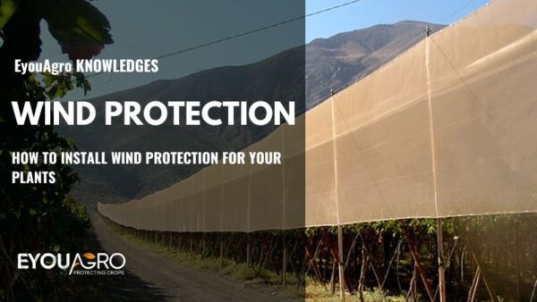 How to Install Wind Protection - EYOUAGRO