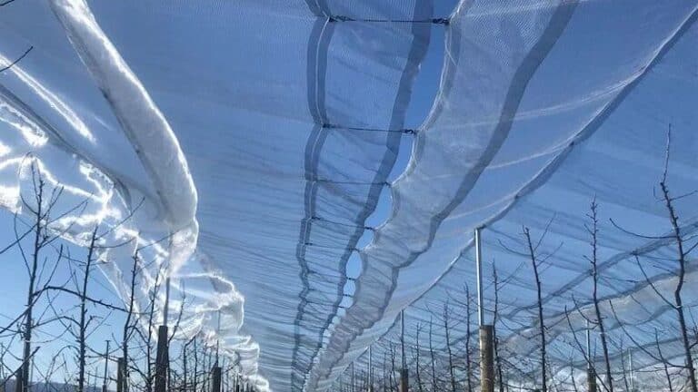 3 Types of Hail Netting - All You Need to Know | EYOUAGRO