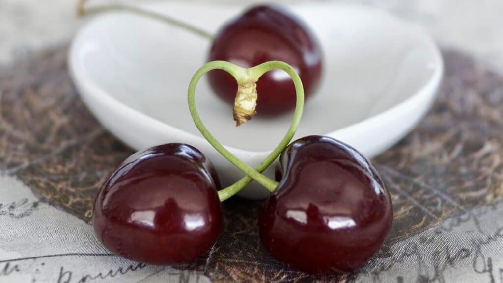 Reflective Ground Screen Application in Fruits | EYOUAGRO