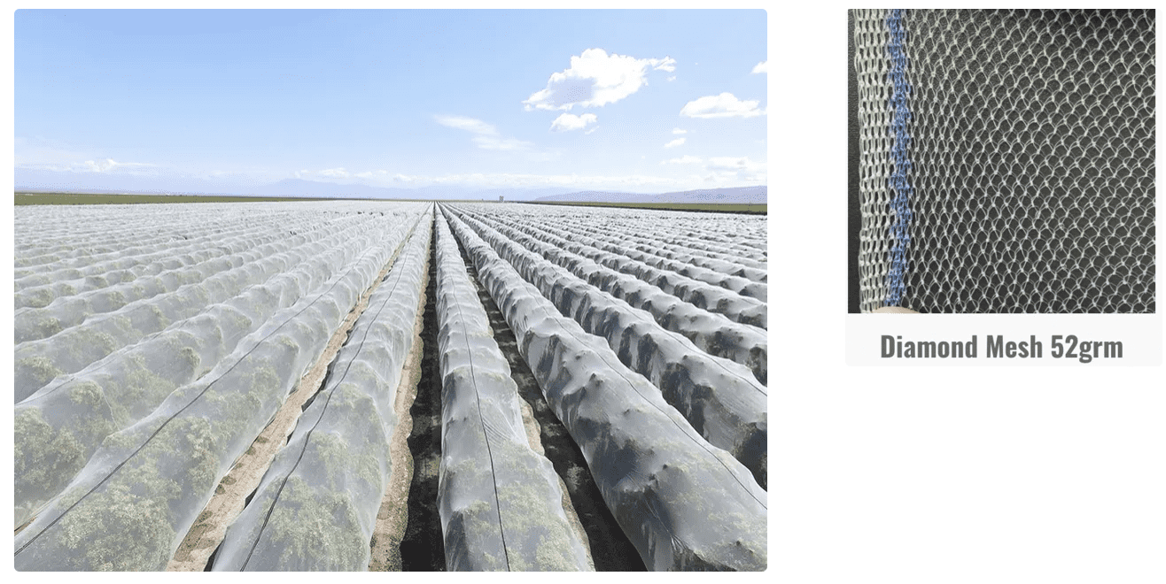 4 Kinds of Bee Netting: You Need to Know | EyouAgro
