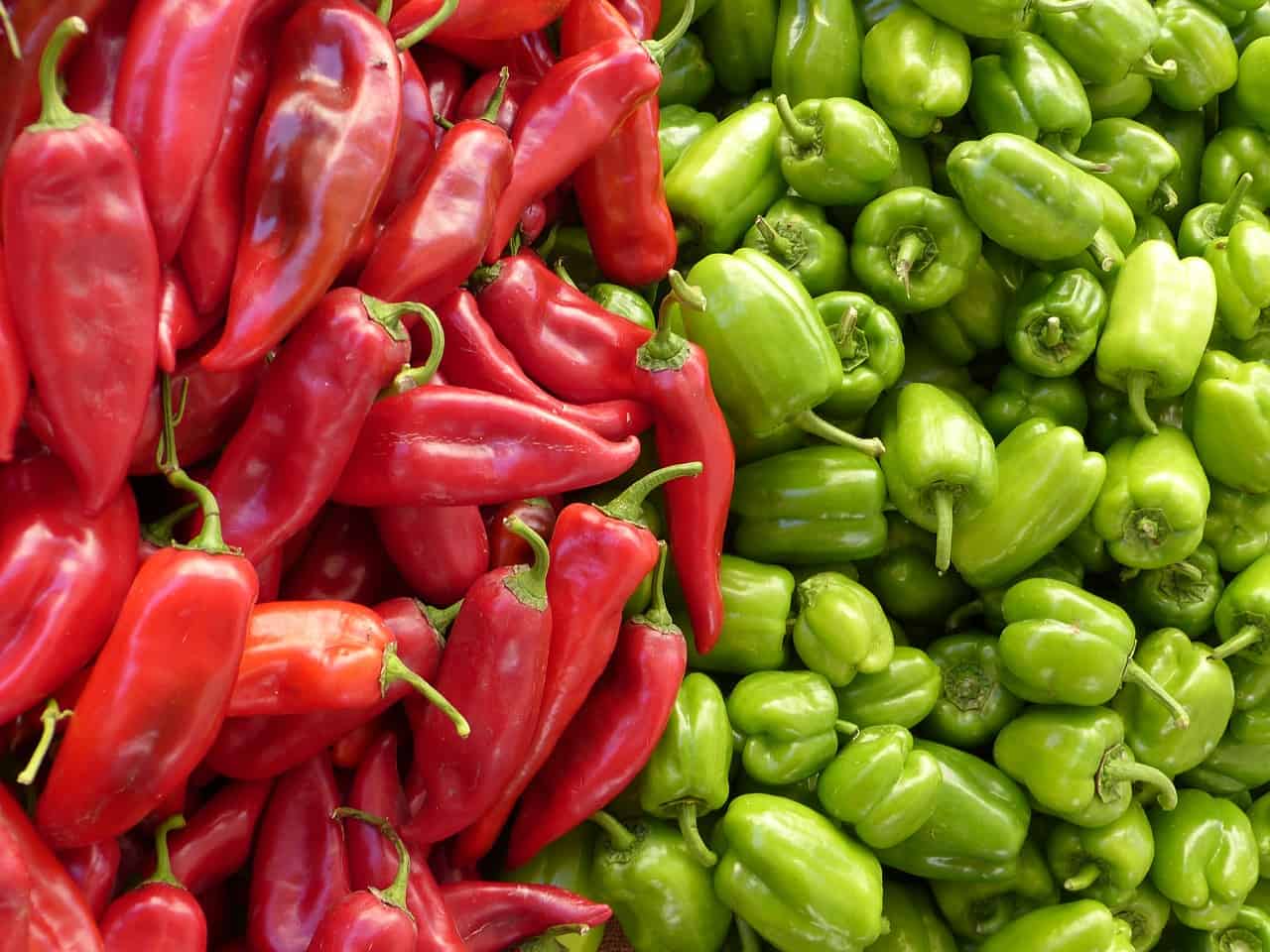 7 Easy Care Tips for Your Peppers | EyouAgro