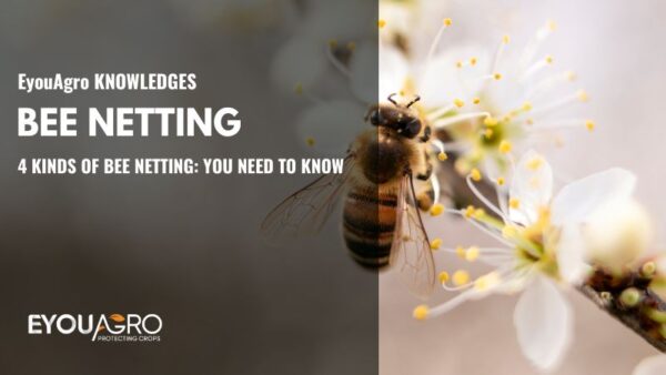 4 Kinds of Bee Netting: You Need to Know | EyouAgro