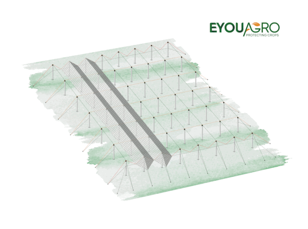 Why Should Protect Solar Panels With Hail Netting | EyouAgro