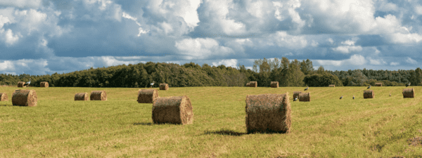 Bale Net Wrap | Round Bale Net Wrap Manufacturers | EyouAgro