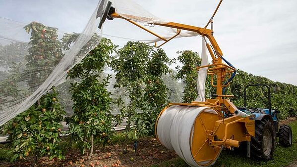 Why Your Orchard Needs Bat Exclusion Netting? | EyouAgro