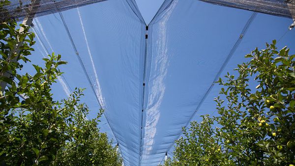 7 Tips for Protection of Solar Panels from Hail | EyouAgro