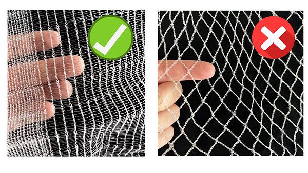 Why Your Orchard Needs Bat Exclusion Netting? | EyouAgro