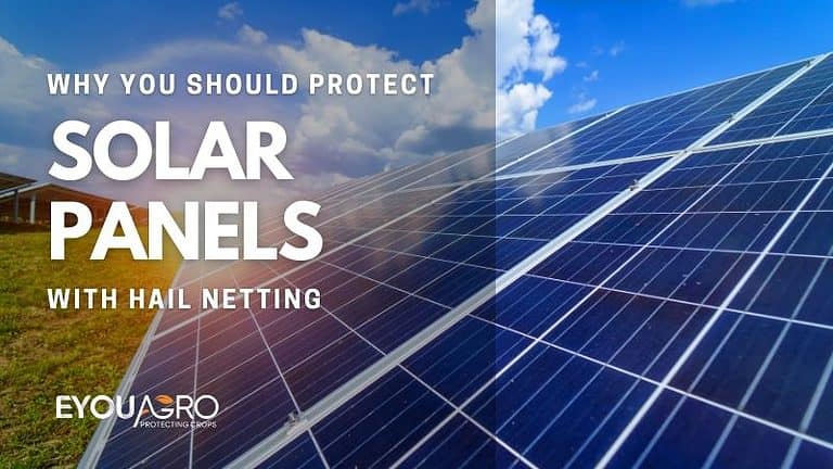 Why Should Protect Solar Panels With Hail Netting | EyouAgro