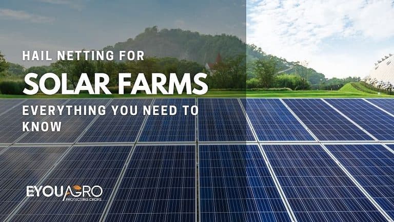 Hail Netting For Solar Farms: You Need To Know | EyouAgro