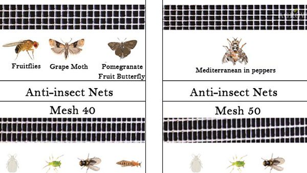 Insect Netting Guide: How to Choose the Right Mesh Size