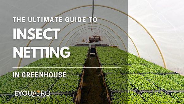 Insect Netting The Ultimate Guide To Greenhouse Insect Net