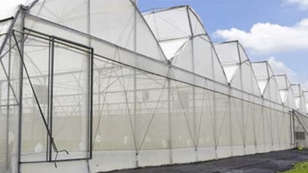 Insect Netting for Vegetables | EyouAgro