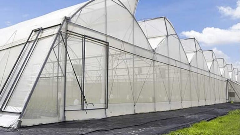 Cabbage Netting keep from Pests | EyouAgro