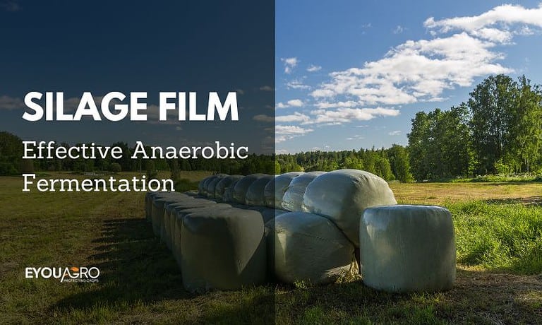 Silage Film to Effective Anaerobic Fermentation | EyouAgro