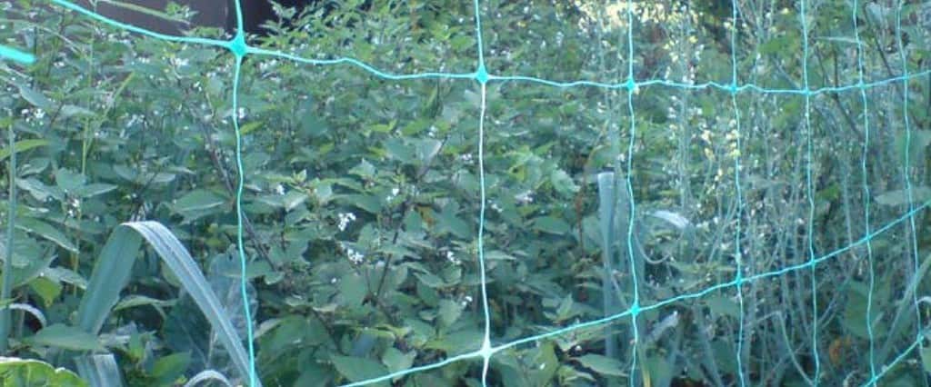 Trellis Netting | Plant Support Netting | EyouAgro