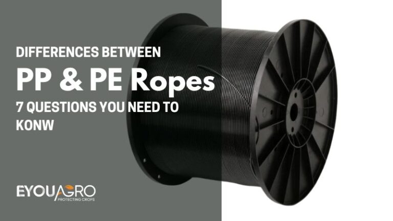 What is the Difference between PP and PE Ropes