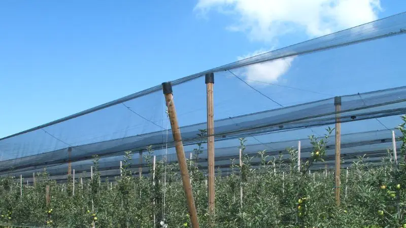 Which of the Hail Netting Installation Methods is Right for You?