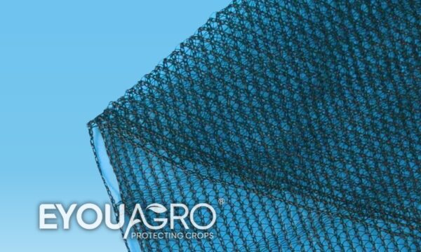You Need to Know About Greenhouse Netting | EYOUAGRO