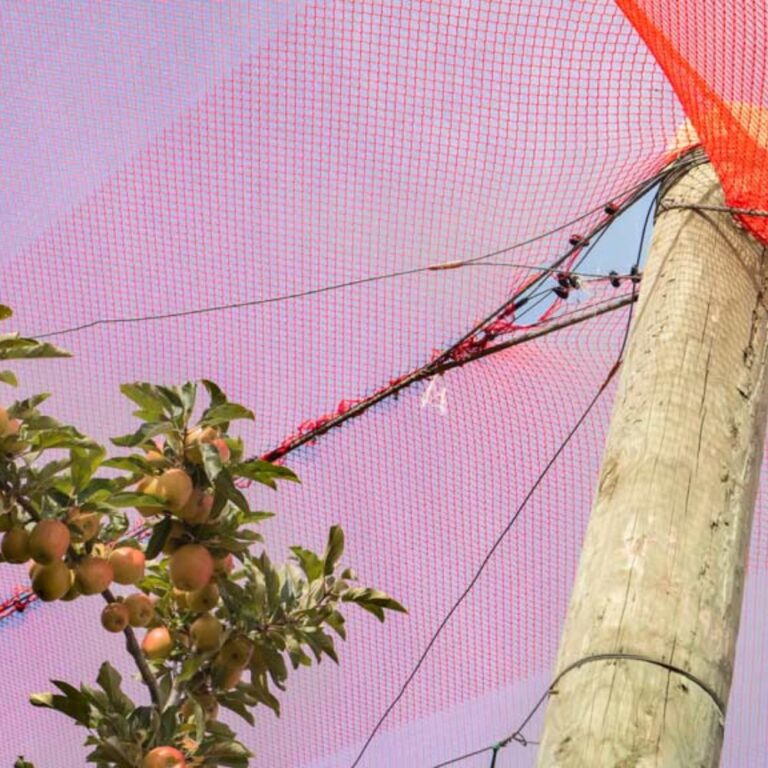 Red Shade Cloth | Shade Netting | EYOUAGRO