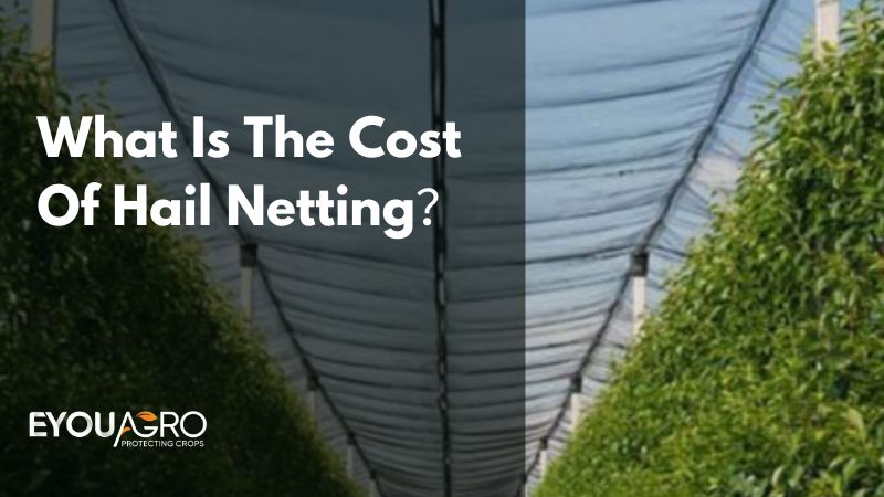 What Is The Cost Of Hail Netting？｜EyouAgro