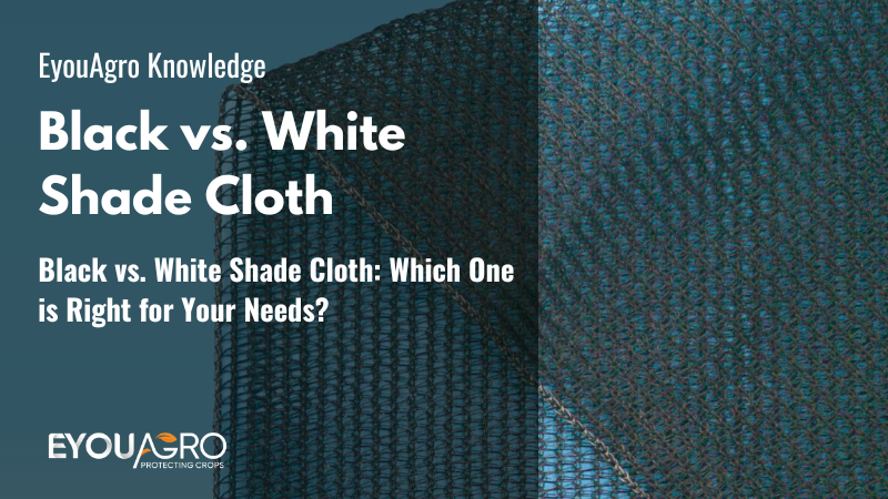 Black vs. White Shade Cloth: Which is Best for Your Plants?