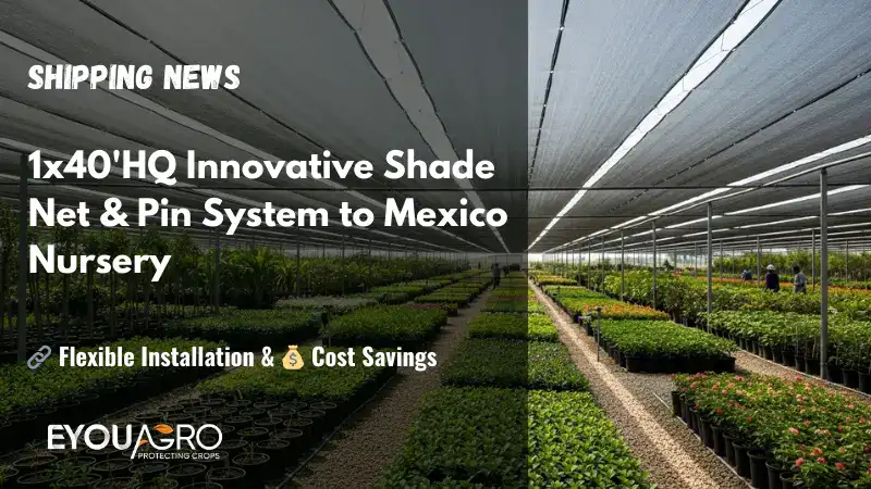 Economical Shade Net & Pins Shipped to Mexico | EyouAgro
