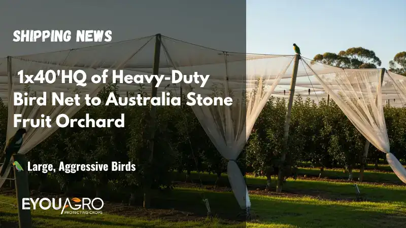 Heavy-Duty Bird Net for Australian Orchards | EyouAgro