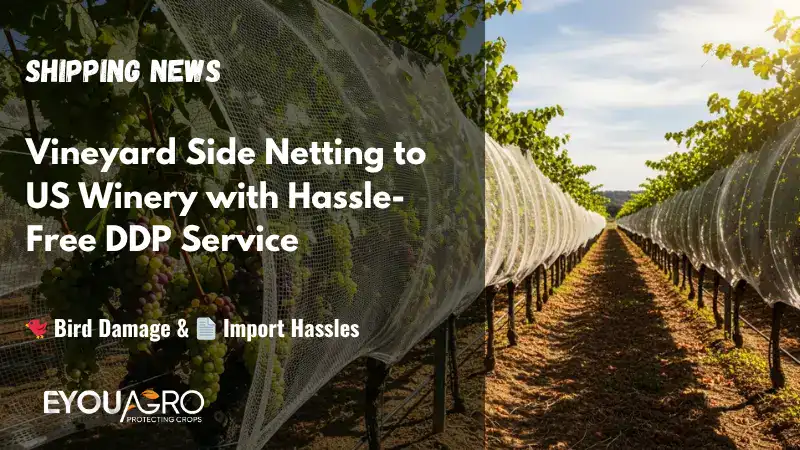 Vineyard Netting with DDP Door-to-Door to USA | EyouAgro
