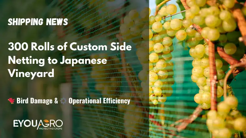 Custom Vineyard Side Netting Shipped to Japan | EyouAgro